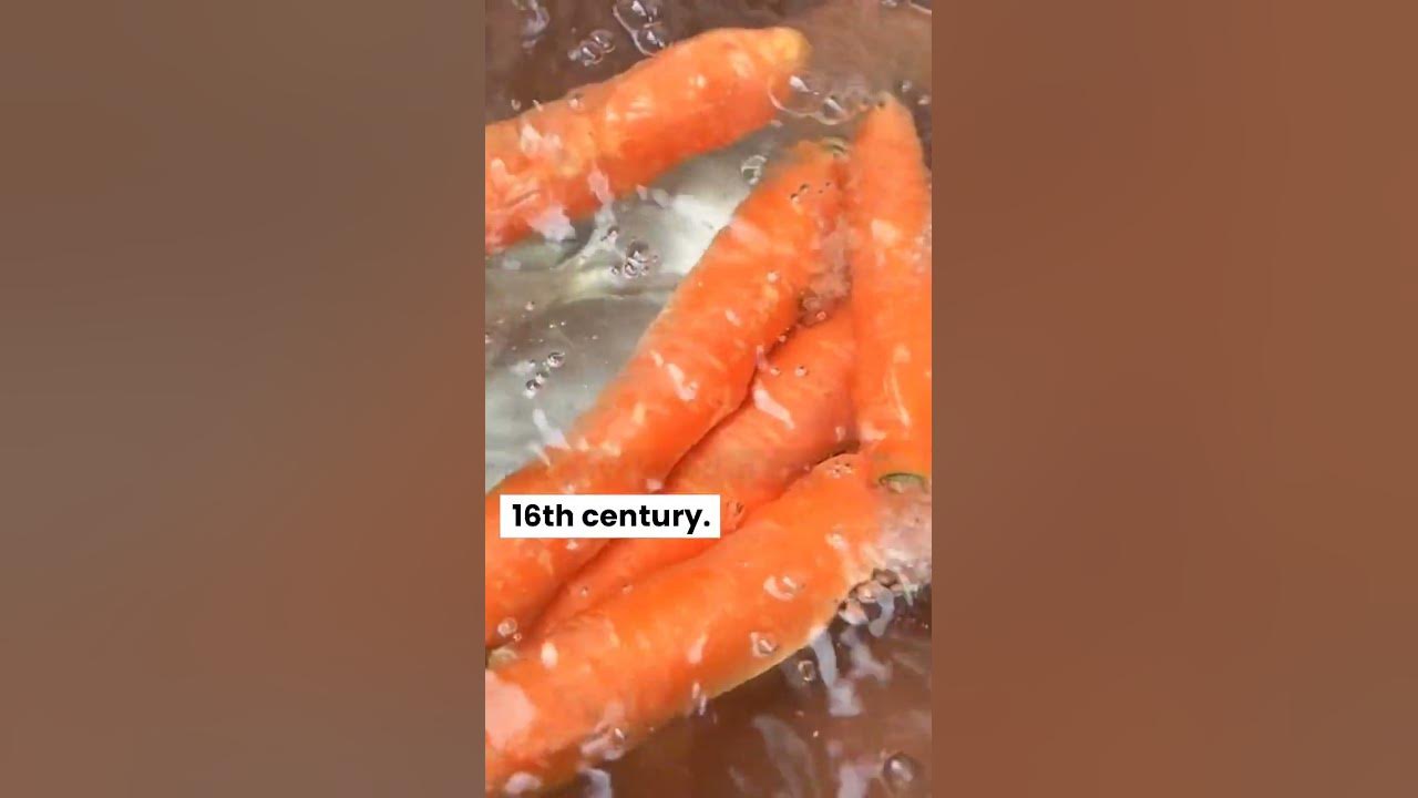 10 Weird Facts About Food YouTube 10-weird-facts-about-food-youtube