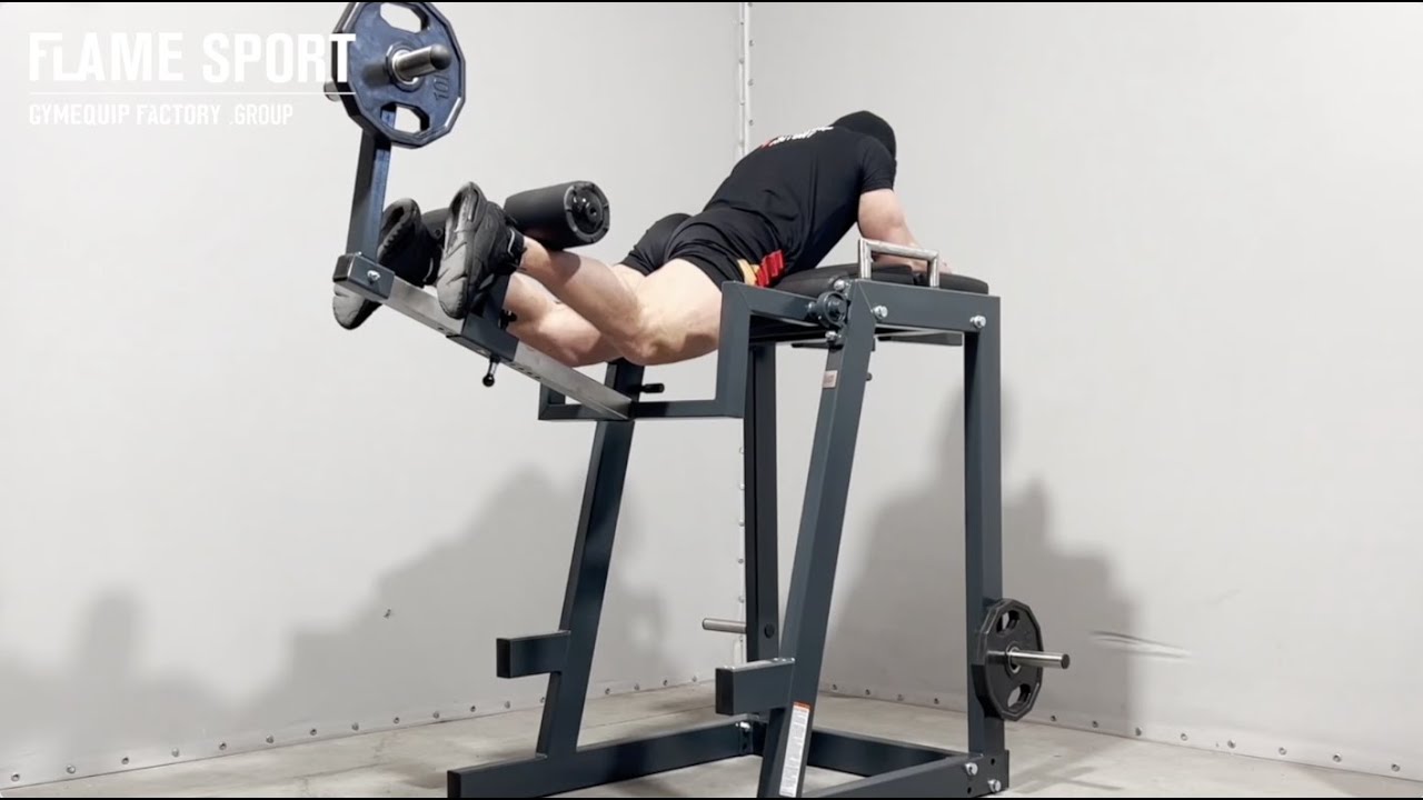 Reverse Hyperextension Machine (1V) FLAME SPORT - YouTube