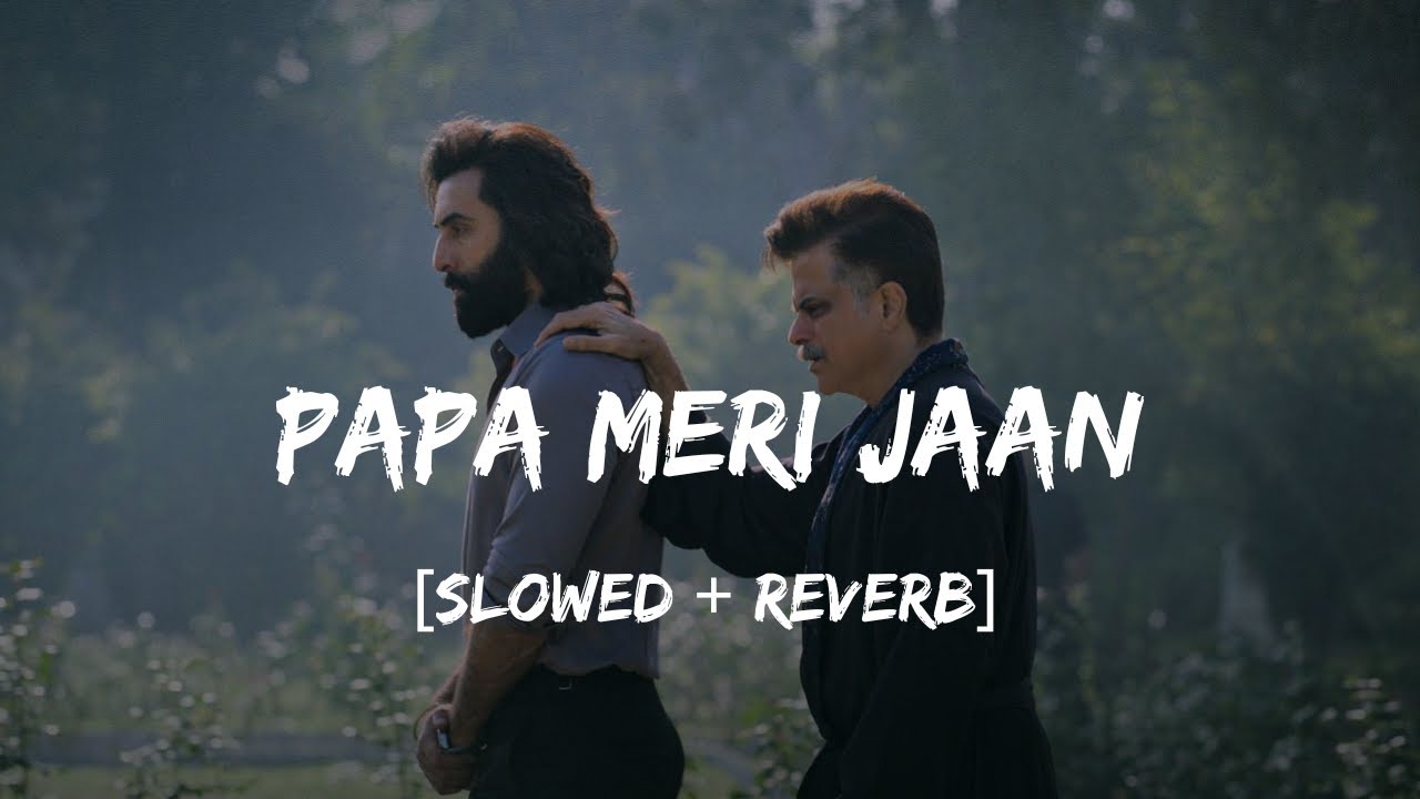 Papa Meri Jaan | Animal | Sonu Nigam | [Slowed + Reverb] | Music Haven ...