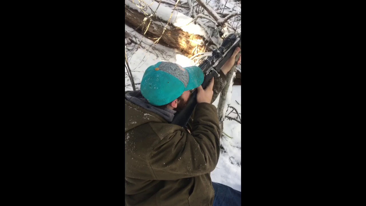 North Idaho bobcat hound hunt - YouTube