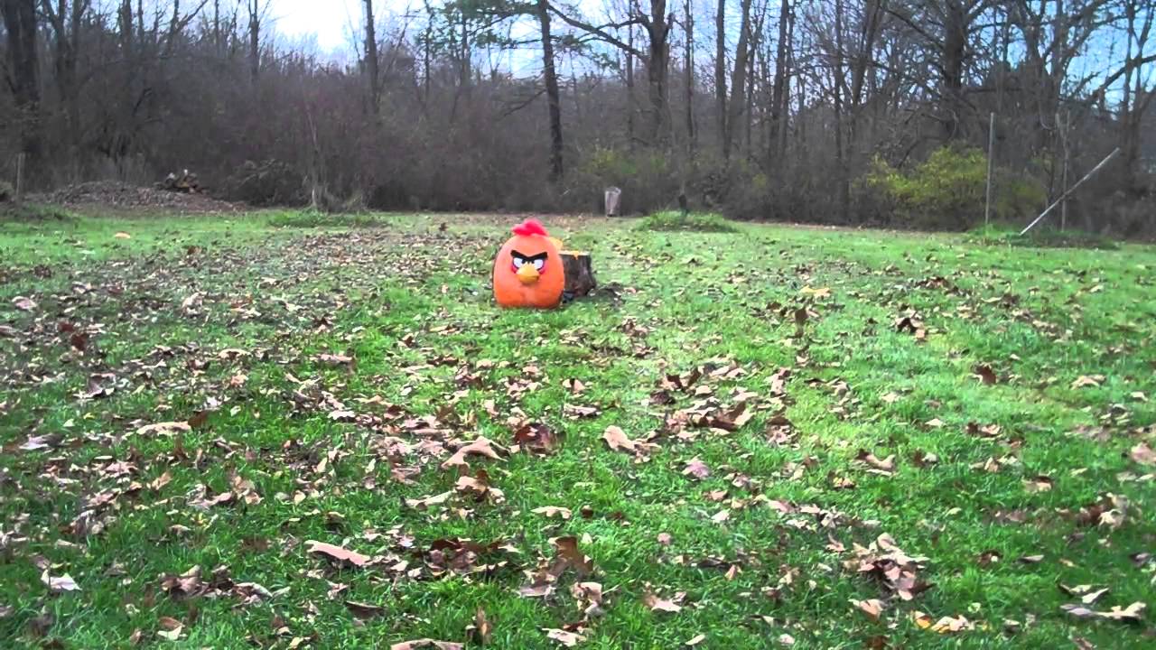 Exploding Angry Bird Pumpkin 2012 - BOOM.mp4 - YouTube
