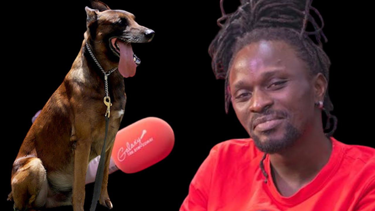 Little Joe And His Dog Are Starving - DJ Nimrod - YouTube