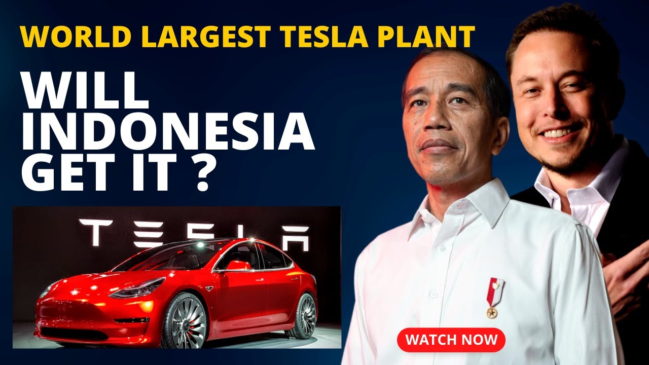 Indonesia's $30 BILLION Master Plan to Bring World's Largest TESLA ...