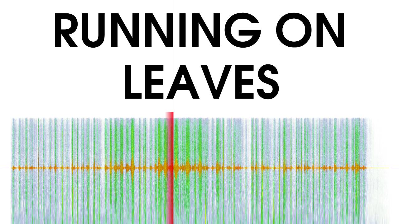 Running On Leaves Sound Effect - YouTube