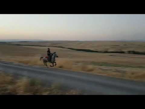 Rahvan At