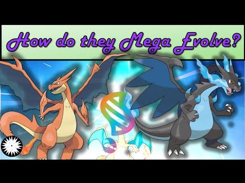 What is Mega Evolution? (Pokemon) - YouTube