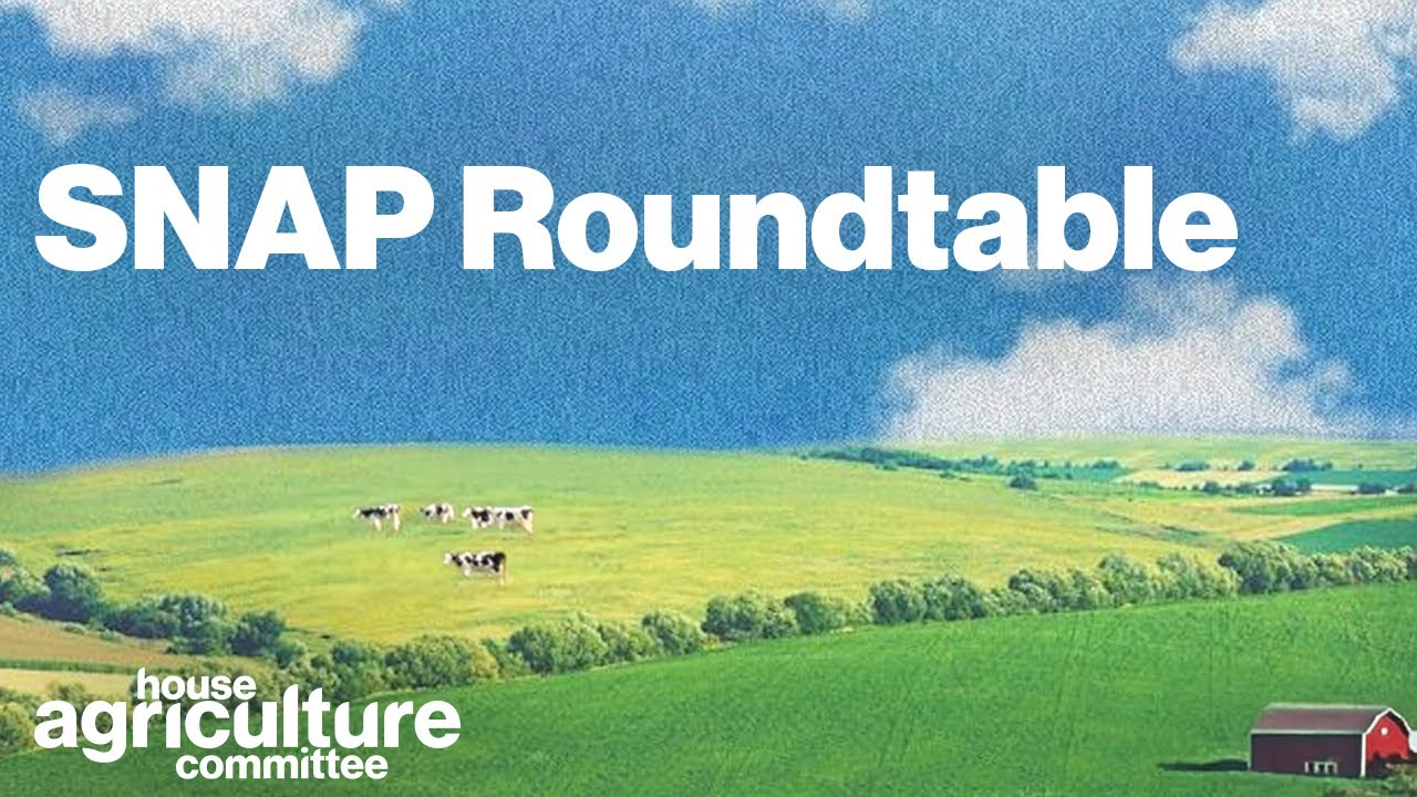 SNAP Roundtable - YouTube