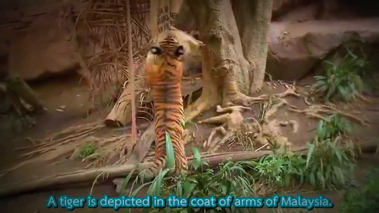 The National Animal of ASEAN Countries (Complete) - YouTube