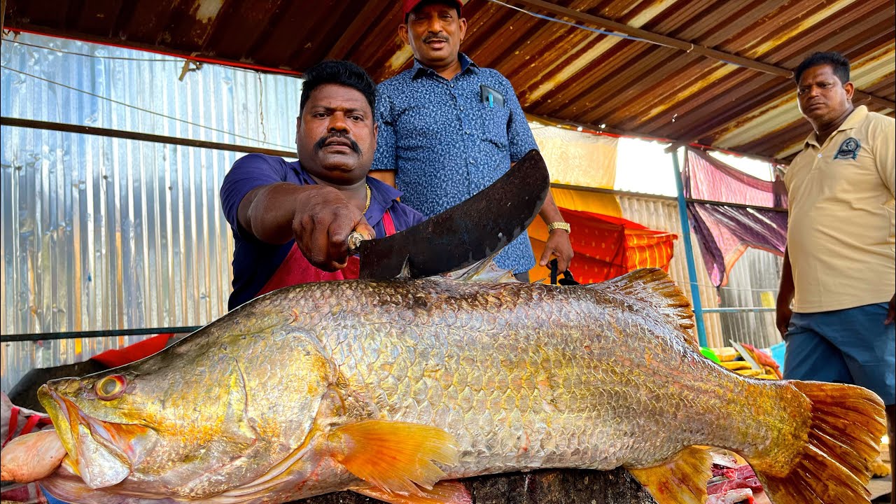 THE GIANT OG KODUVA FISH CUTTING IN KASIMADU SPEEDSELVAM - YouTube
