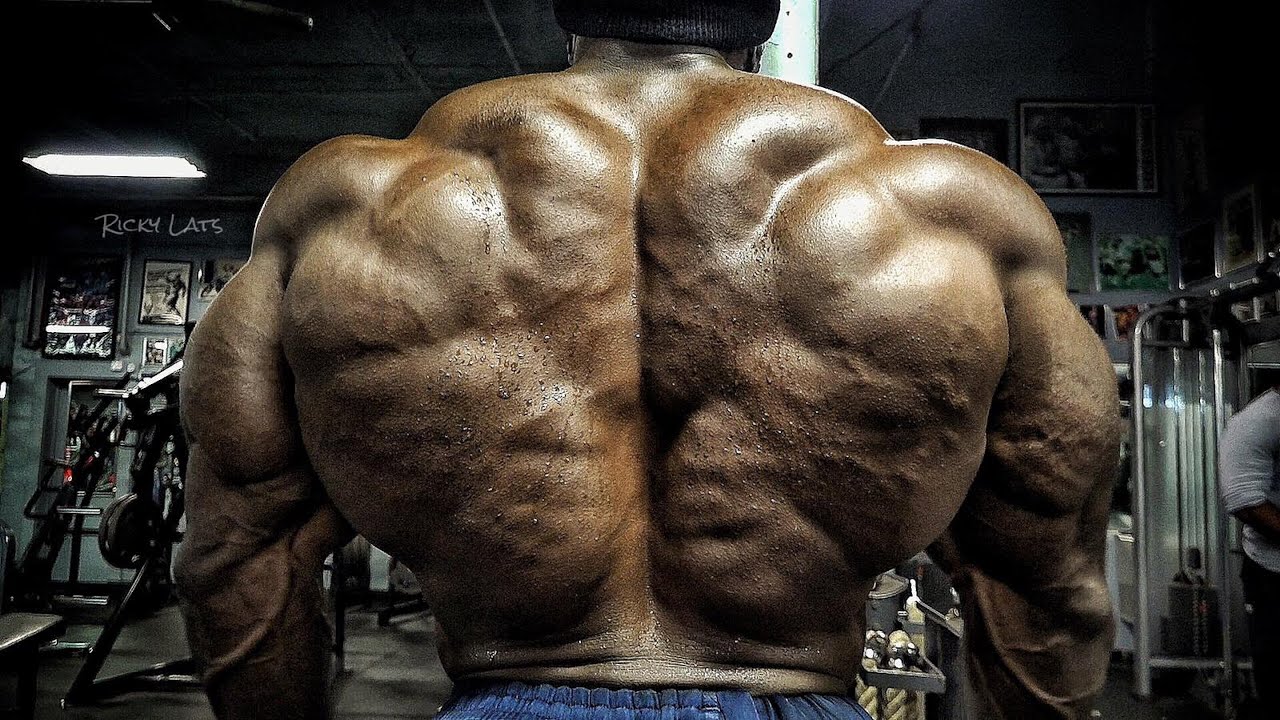 Back Workout 9 days out from the 2020 Mr. Olympia - YouTube