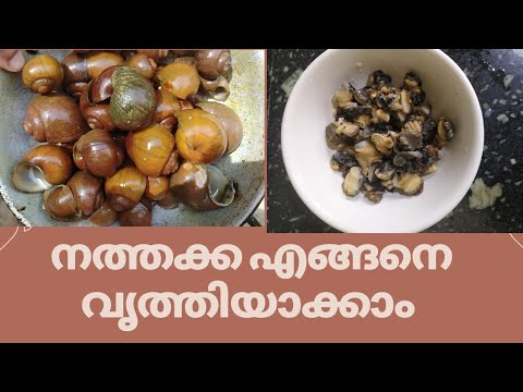 നത്തക്ക എങ്ങനെ വൃത്തിയാക്കാം 😄😄😄||nathakka cleaning ||ഞവണിക്ക എങ്ങനെ ...