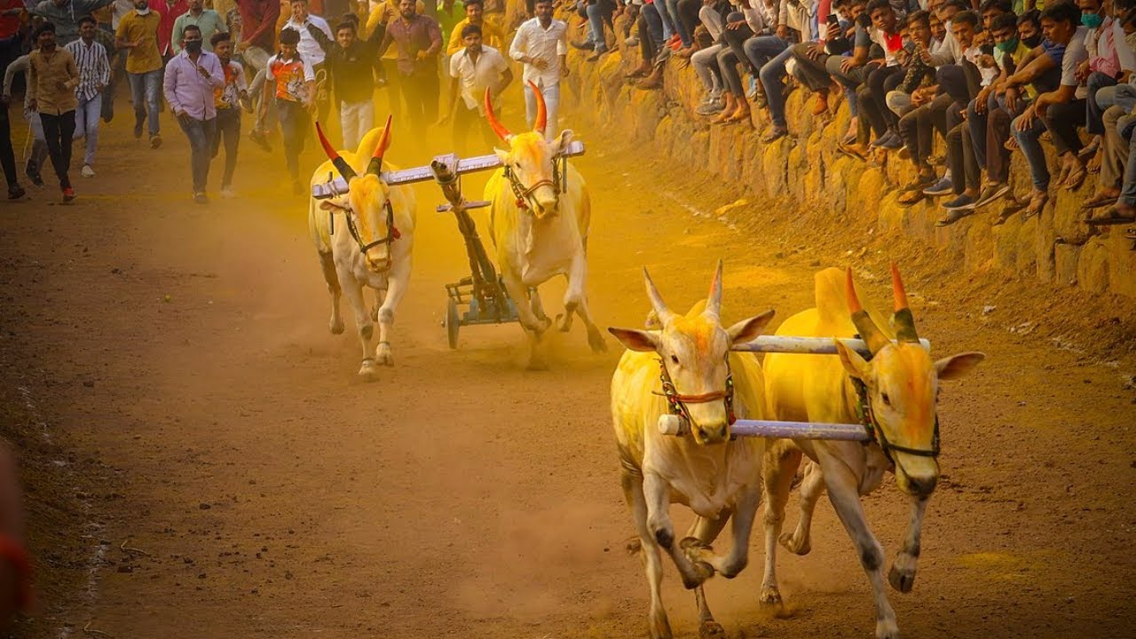 BHAVYA BAILGADA SHARIYAT KARJAT 2023 Teaser | PRESENT BY SANDIP PHOTO ...