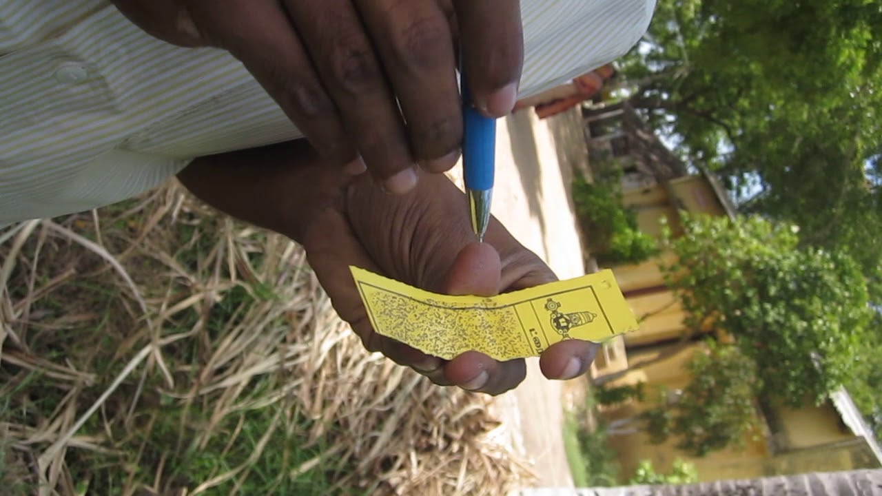 5 sugarcane internode borer management - YouTube