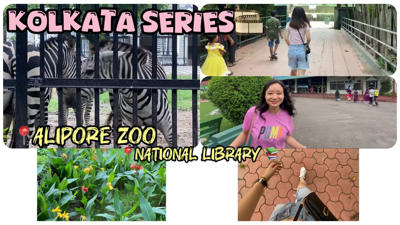 KOLKATA SERIES🎞️//A DAY WITH THE ANIMALS🦁//ALIPORE ZOOLOGICAL GARDEN🐯 ...