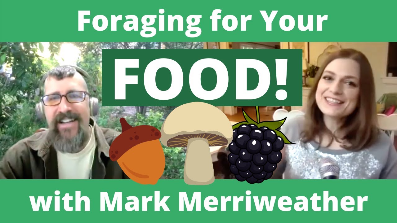 How Do You Start Foraging for Food? Interview with Mark Merriweather ...