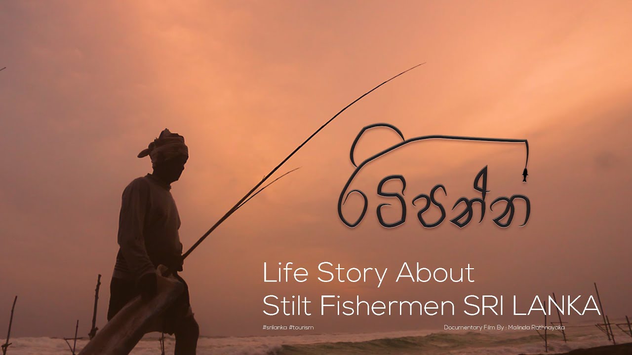 Stilt Fishing Sri Lanka ( Life Story Documentary Film) - YouTube