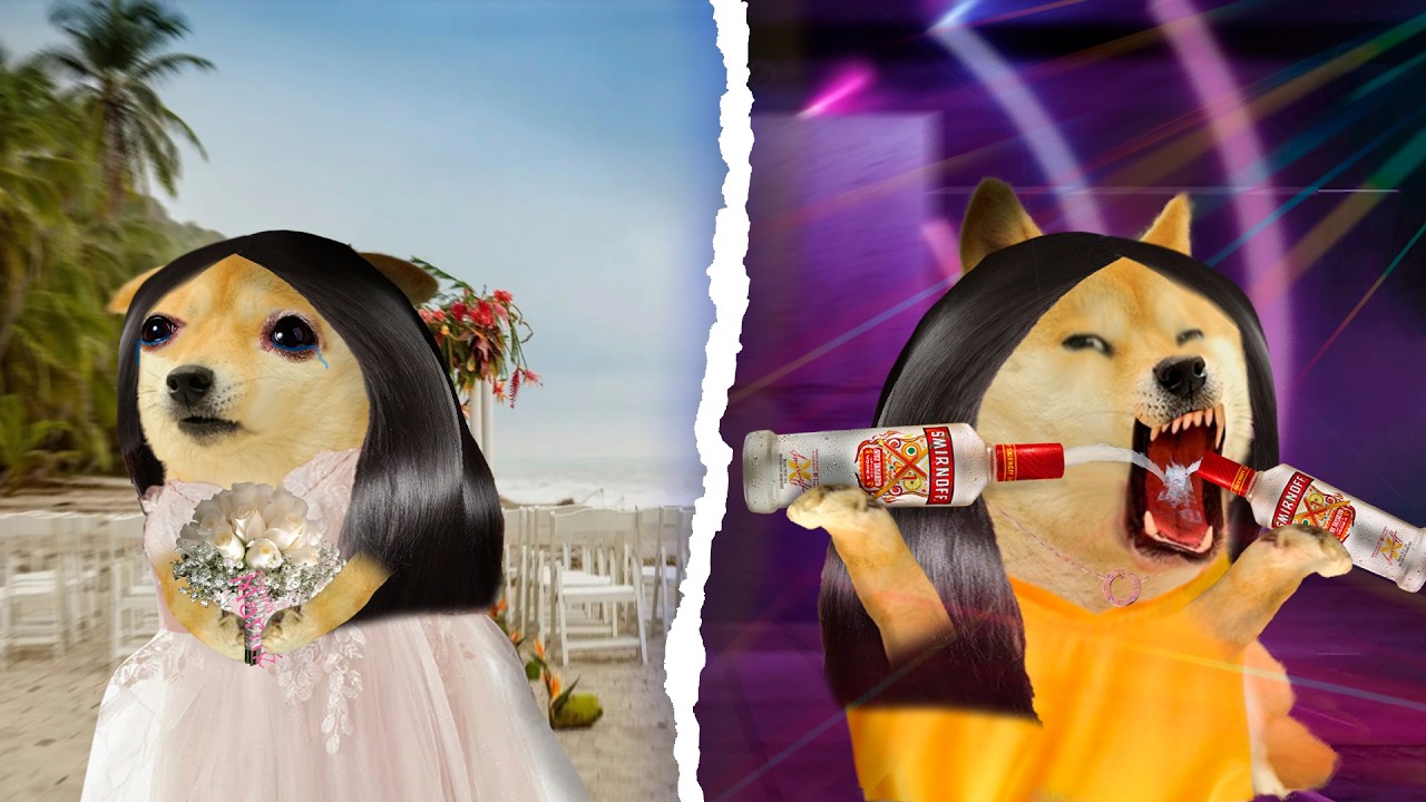 No hubo BODA pero si hubo FIESTA 🥳 - YouTube