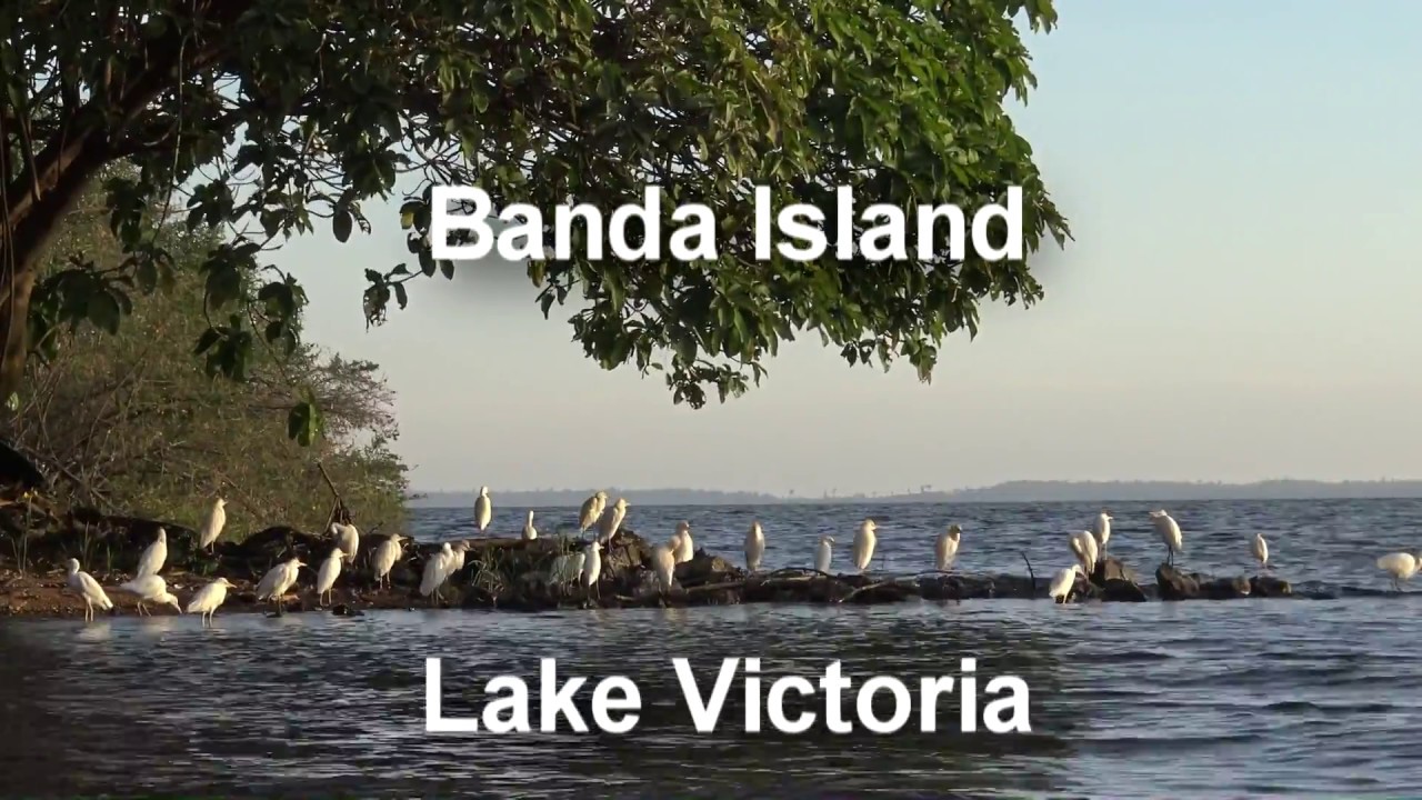 Banda Island Uganda Lake Victoria - YouTube