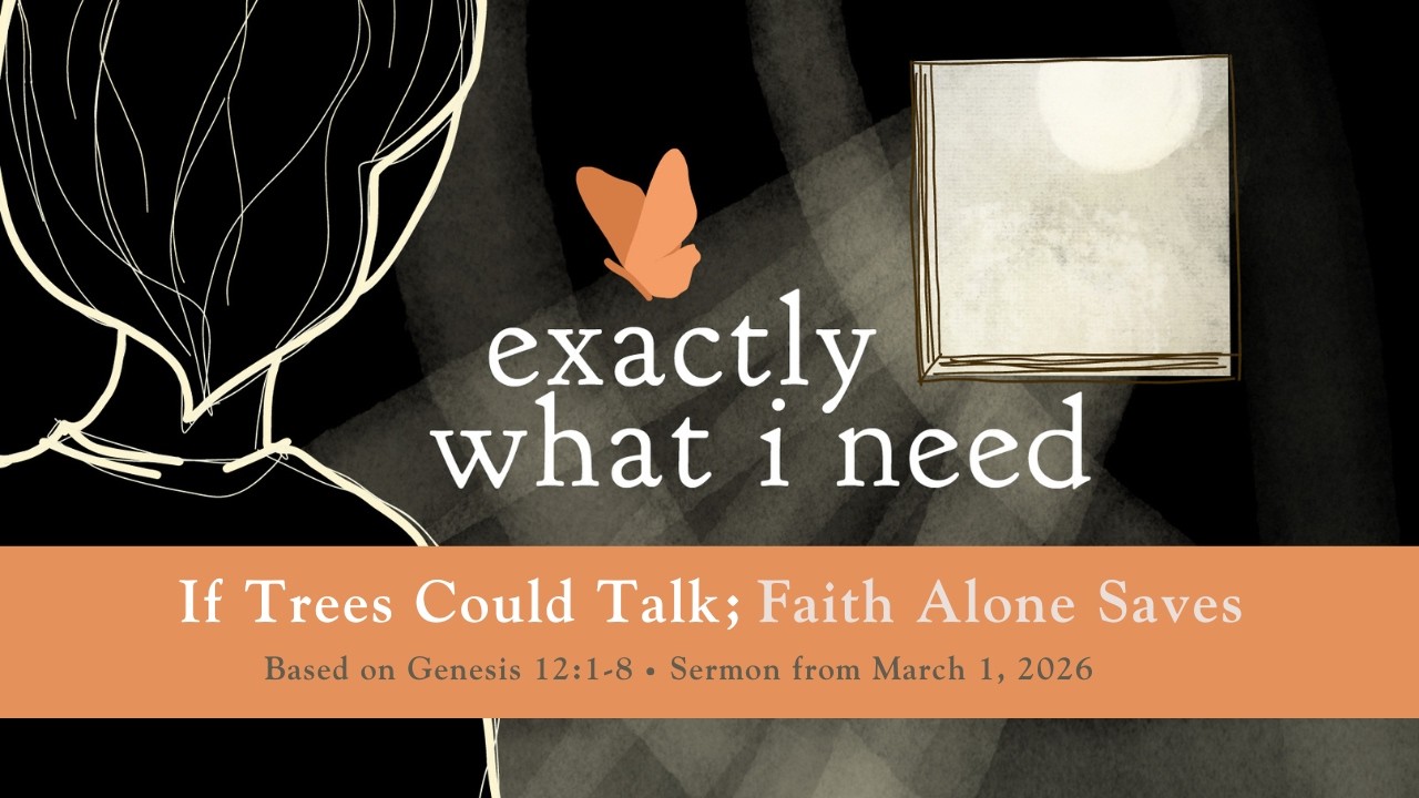 If Trees Could Talk; Faith Alone Saves | Genesis 12:1-8 - YouTube