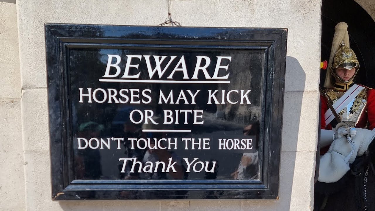 NEW SIGNS DON'T TOUCH THE HORSE are hung and STRAIGHTENED by a tourist ...