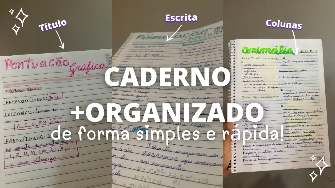 como ter o CADERNO LINDO E ORGANIZADO simples e rápido - YouTube