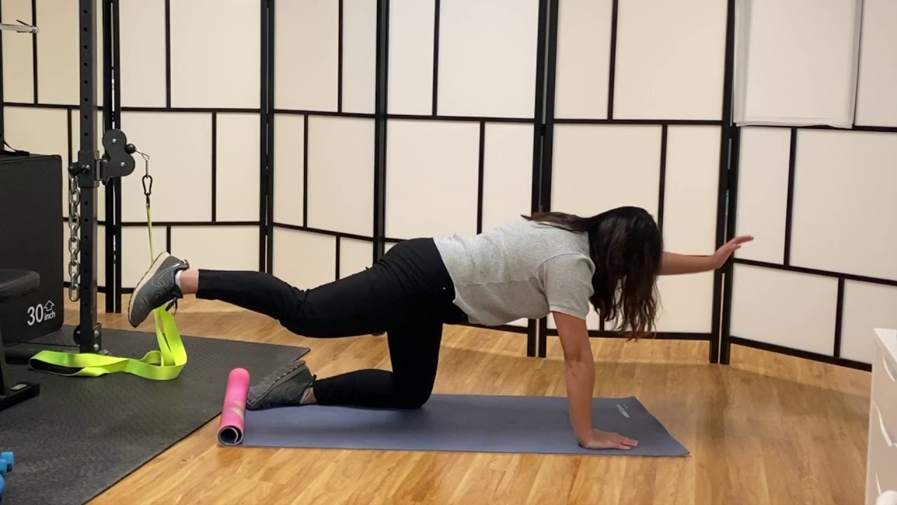 Core Stabilization: Bird Dog with Hip Circles - YouTube