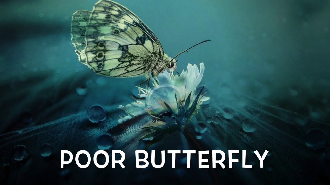 Poor Butterfly (Hubbell) Backing track + music sheet - YouTube