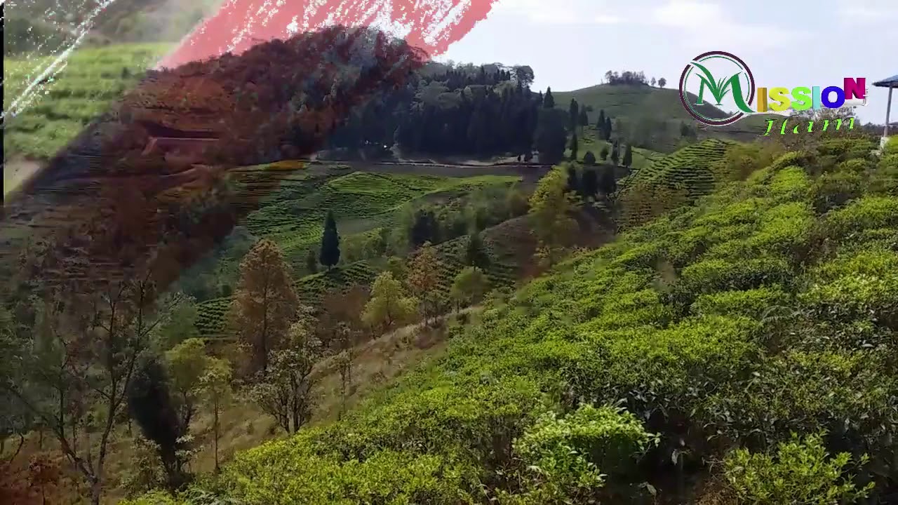 most populer place in ilam panitar ilam . - YouTube