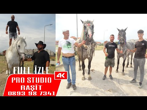 aduka sunnet yarışı full izle 2022