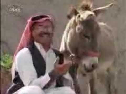 Babe tayer in en cok izlenen vidyo su