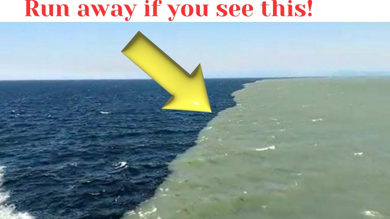 TOP 7 Most Dangerous Natural Phenomena In The Ocean - YouTube