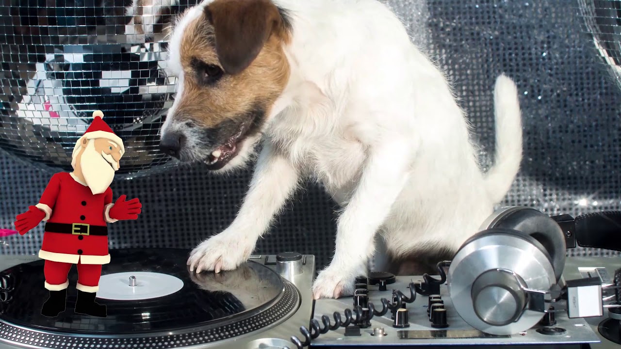 DJ Denzel Jack Russel - YouTube