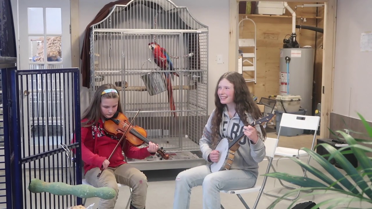 Performing for the Parrots! | Parrot Partner Canada - YouTube