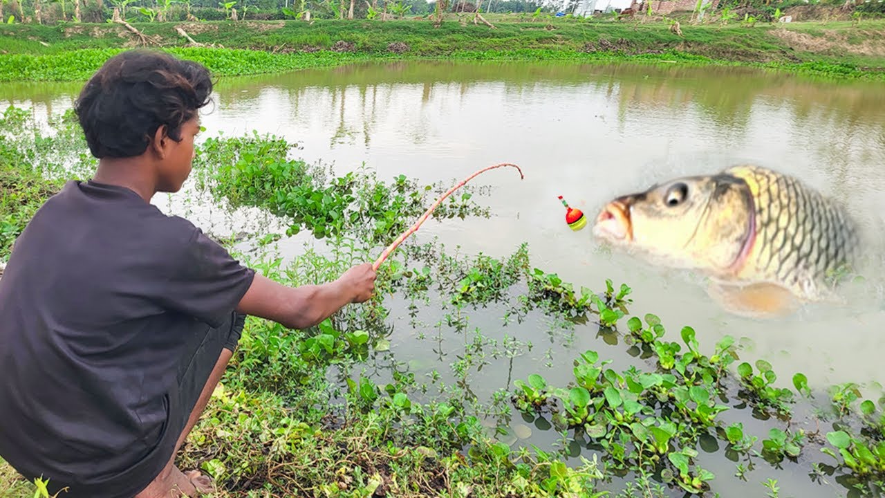 Amazing hook Fishing Video | Traditional Boy Catching Fish By Hook in ...