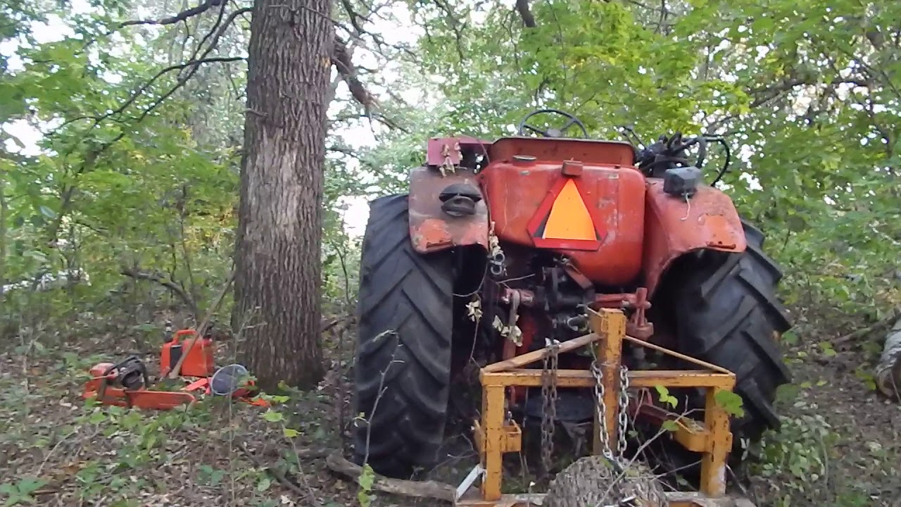 Logging my backyard - YouTube