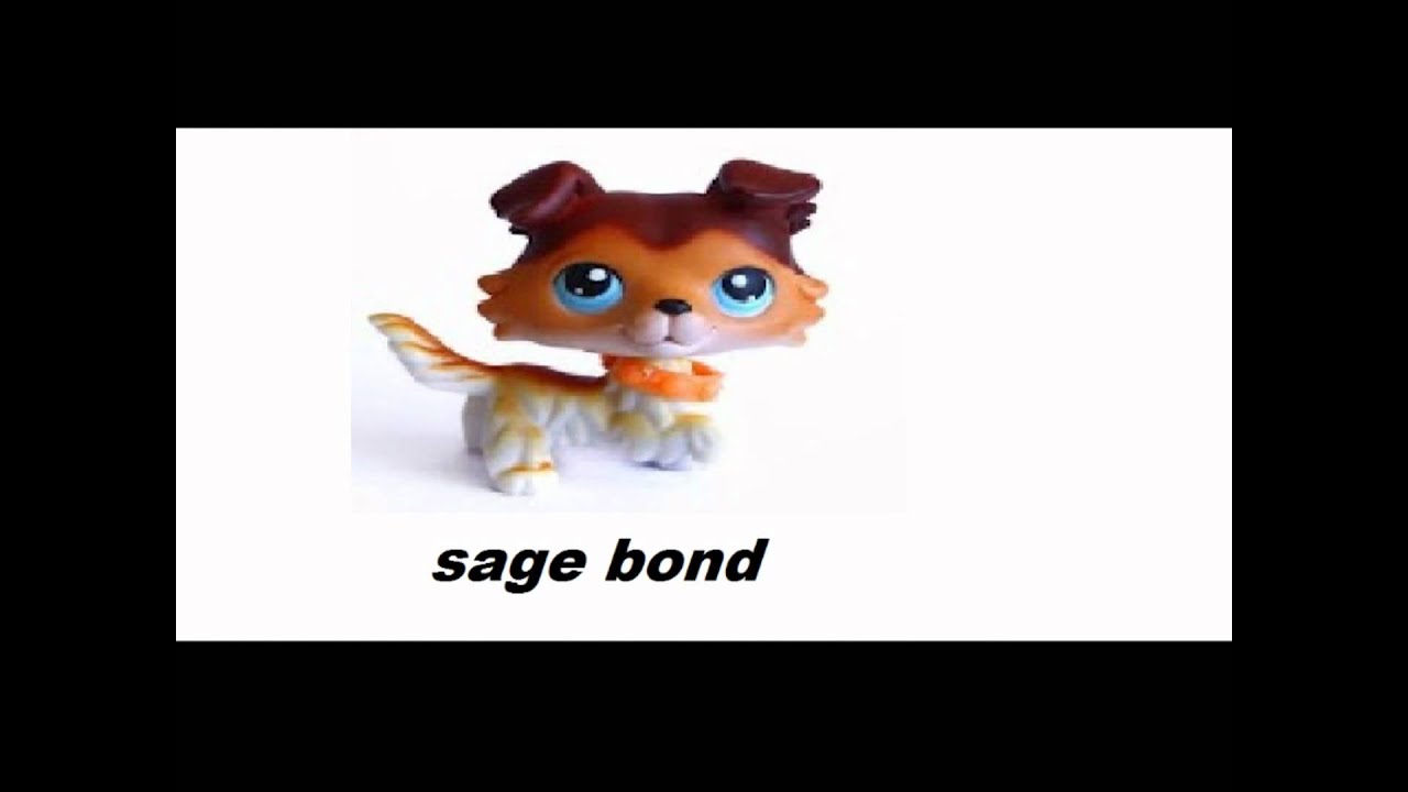 lps popular cast - YouTube