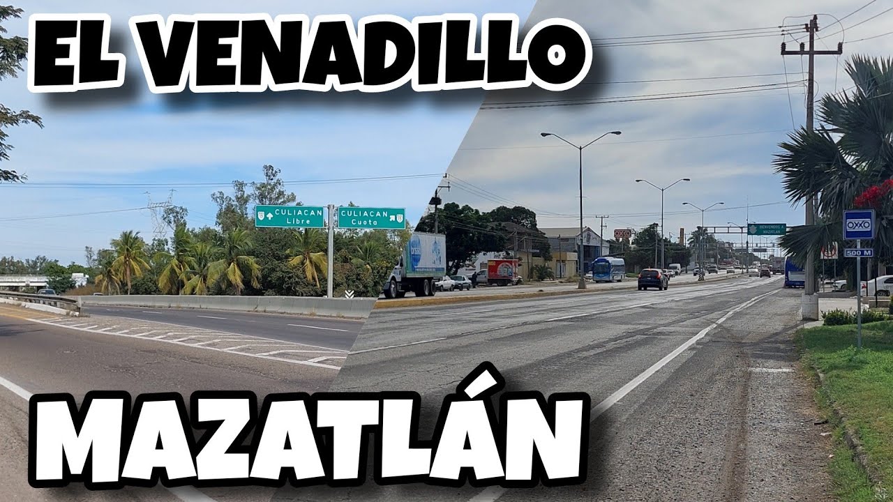 El Venadillo en Mazatlán Sinaloa - YouTube