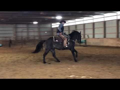 Mr SKIPPETS Ashwood - YouTube