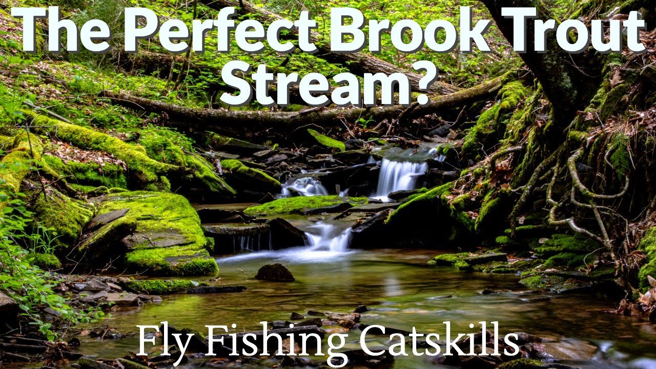 I Found the Perfect Brook Trout Stream! FlyFishing Catskills, NY - YouTube