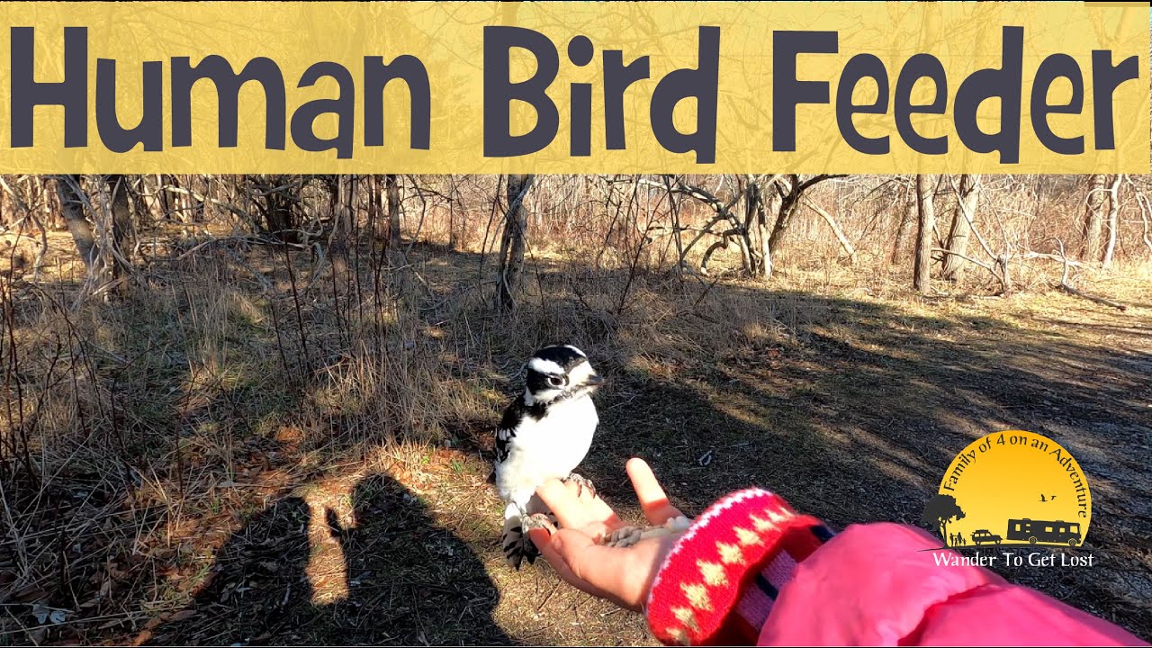 HUMAN BIRD FEEDER | Elizabeth A. Morton National Wildlife Sanctuary ...