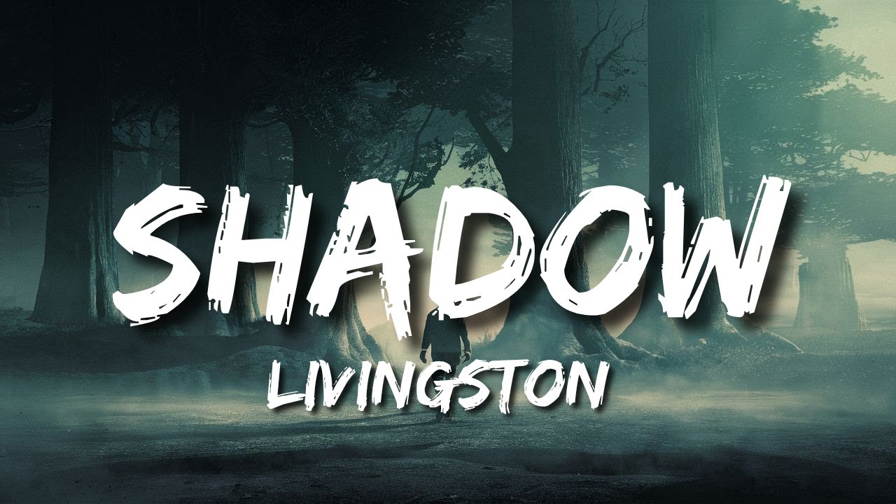 Shadow | Lyrics | Livingston | Space in Life - YouTube