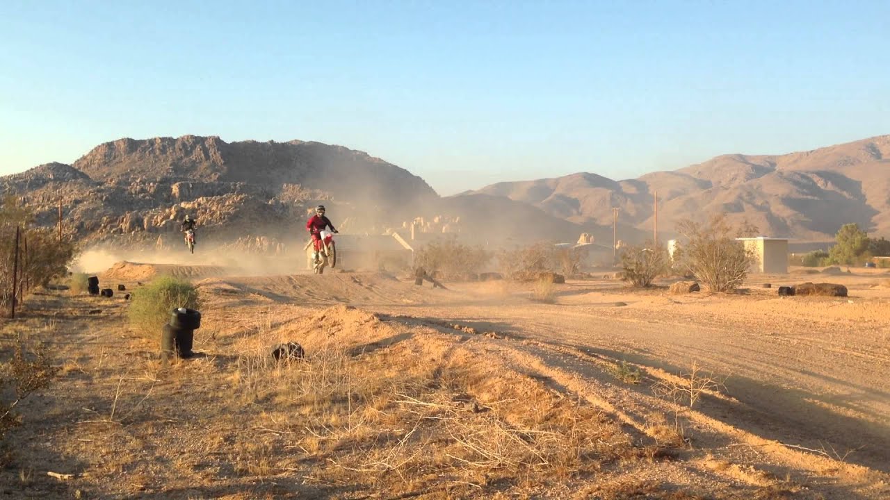 Backyard jamming with a crazy dog on the track - YouTube