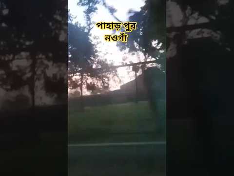 No caption #vairal #vairalvideo #shortsvideo #shorts