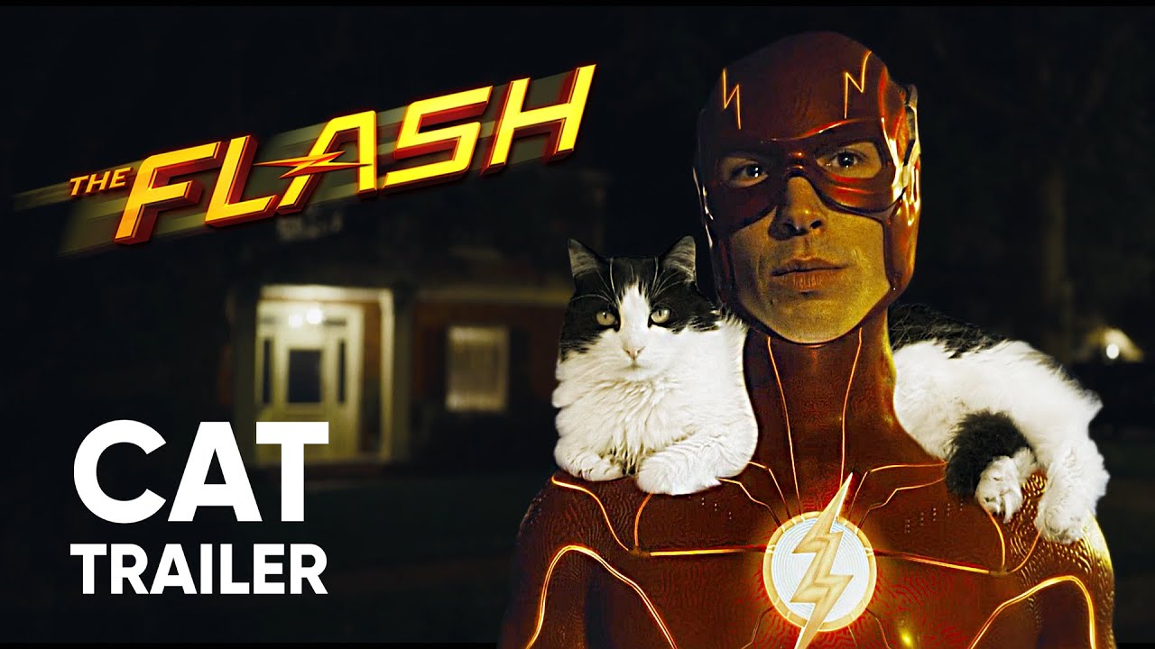 The Flash - Cat Trailer | Meowdrama: Inspired by Owlkitty - YouTube