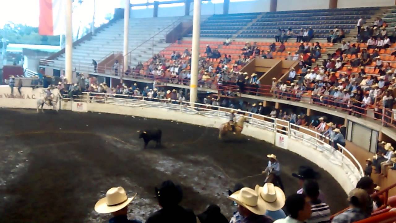 traficante de la papa de cerecuaro - YouTube