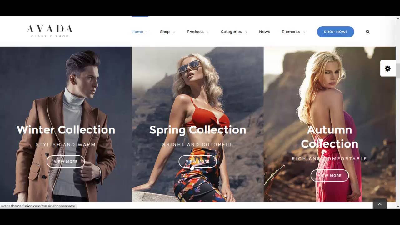 Classic Shop - Avada theme Video Preview- WordPress business blog, ecommerce and multipurpose ...