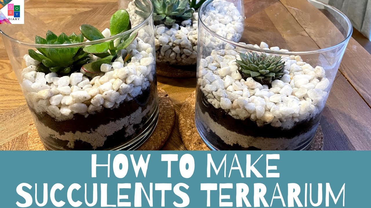 How to make Succulents Terrarium | Step by Step how to create Terrarium ...