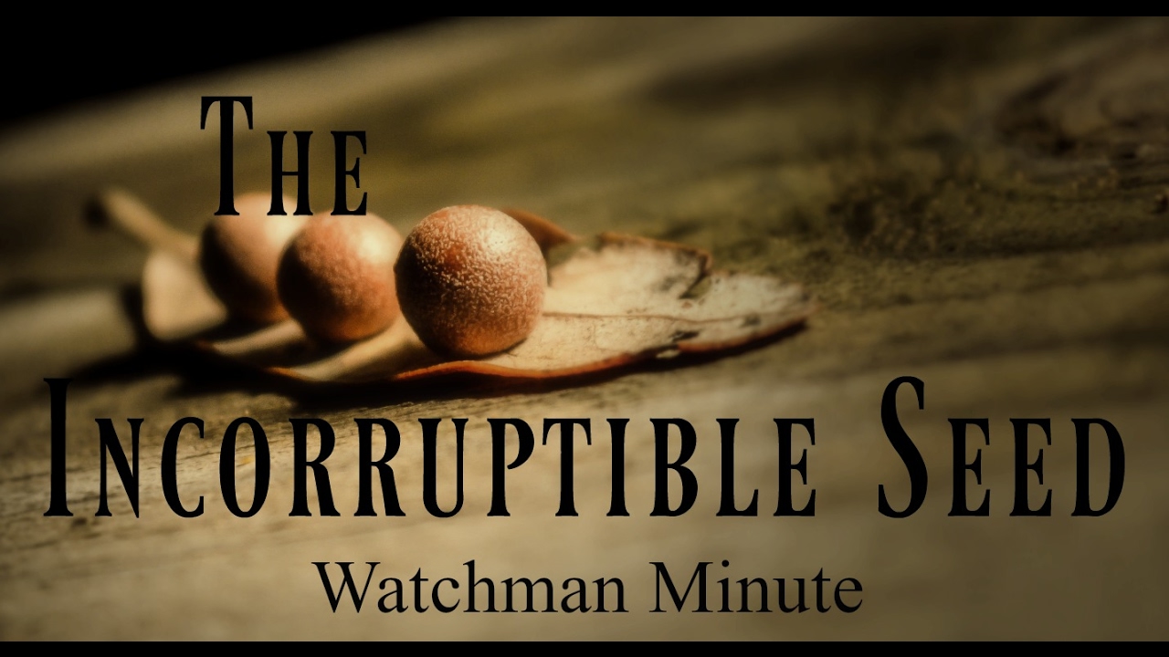 The Incorruptible Seed - YouTube