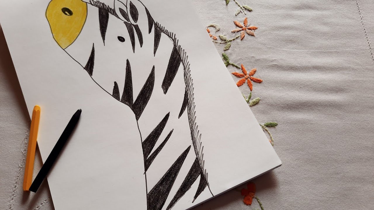 Super Easy | Hand Drawing and Coloring Of Zebra | For Kids ‎@Suman ...