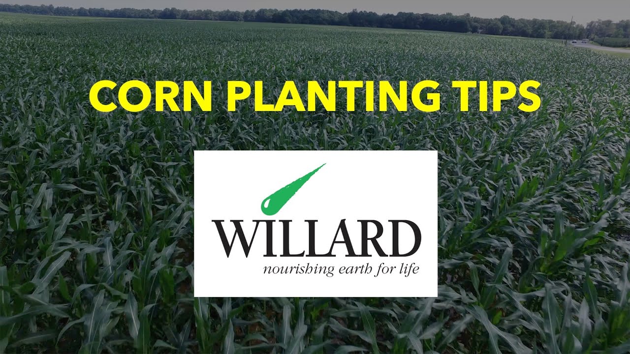 Willard Agri-Service Corn Planting Tips - YouTube